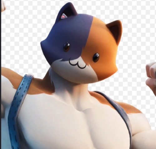 Create a Meowscles Tier List - TierMaker