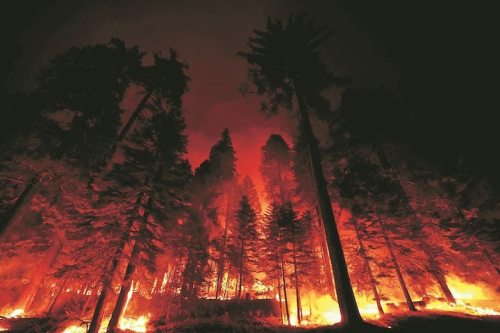 Create a BFDI VOTING ICONS! (Jimmybananaboy1) Tier List - TierMaker