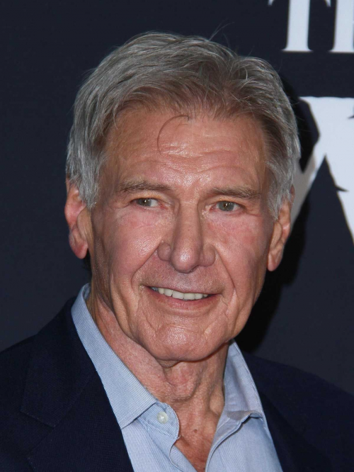 Create a Harrison Ford Movies and TV Shows Tier List - TierMaker