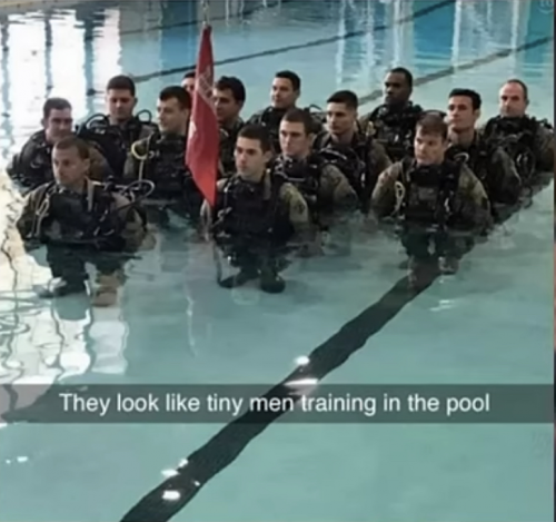 Who will I pick up in shonen Tier List (Community Rankings) - TierMaker