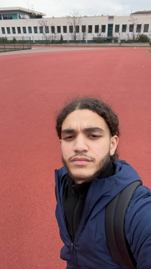 du Singe au Mogger Tier List (Community Rankings) - TierMaker