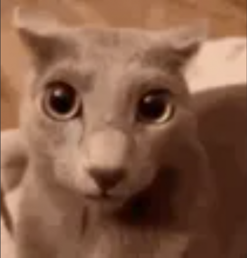 Create a borgder bup Tier List - TierMaker