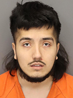 Create a RINGTAIL VIEWER BACKGROUND TIER LIST 2025 Tier List - TierMaker