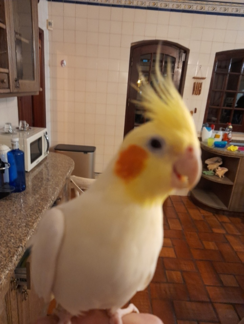 Epa ya Tier List (Community Rankings) - TierMaker