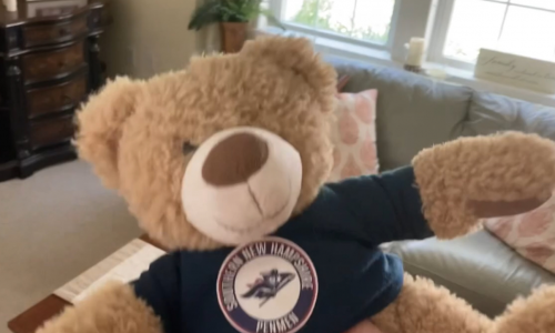 Create a garrett andersons total plush elimination characters Tier List ...