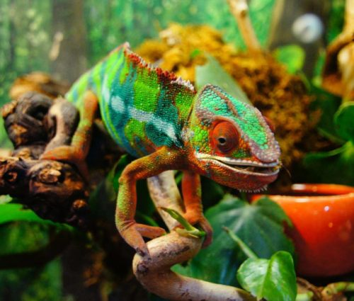 Create a R4W MOST VERSATILE/ALLROUND PLAYER Tier List - TierMaker