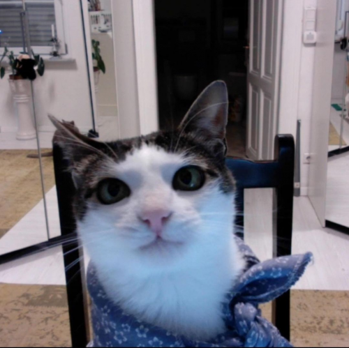 Create a glorb worldwide Tier List - TierMaker