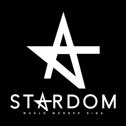 Create a STARDOM 2024 ROSTER TIER LIST Tier List - TierMaker