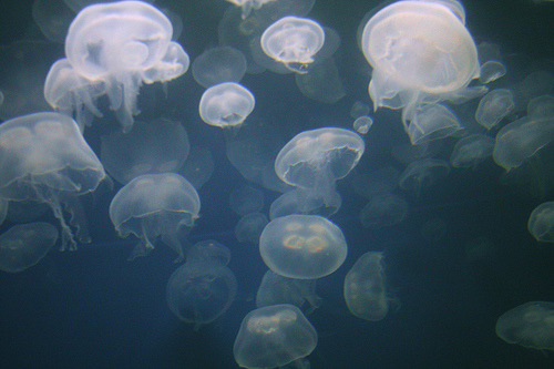 Create a current favs Tier List - TierMaker