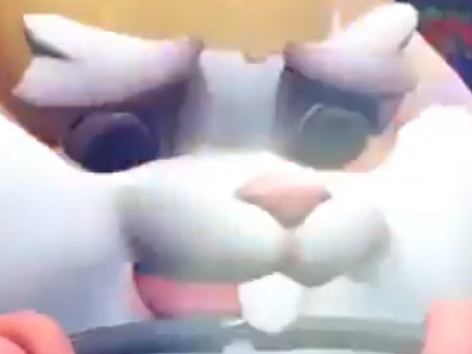 The Special Forces Tier List (Community Rankings) - TierMaker