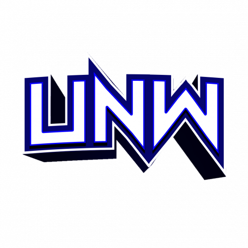 UNW SUPERSTARS ‘24 Tier List (Community Rankings) - TierMaker