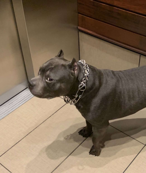 TikTokers PvP pot pvp 2023 Tier List (Community Rankings) - TierMaker