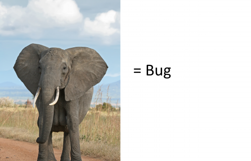 Bug, Dog, Cat, Water Tier List (Community Rankings) - TierMaker