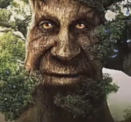 Create a Tree Tier List - TierMaker