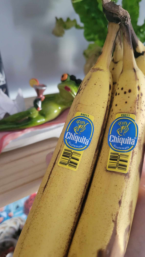 Create a Random Things Tier List - TierMaker