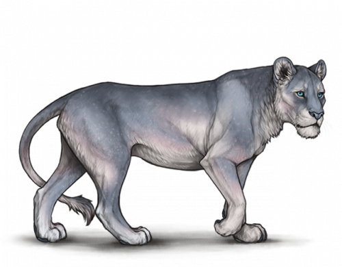 Lioden BO Special Bases! Tier List (Community Rankings) - TierMaker