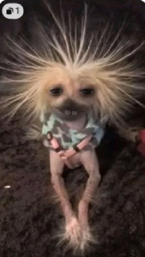 Gyatt Song Versions Tier List (Community Rankings) - TierMaker