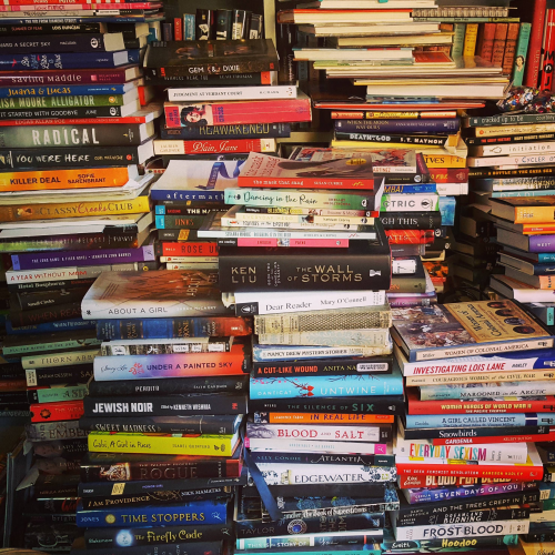 Create a 2023 Book Ranking Tier List - TierMaker