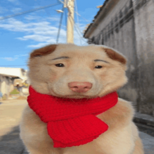 PJJ 1v1s Tier List (Community Rankings) - TierMaker