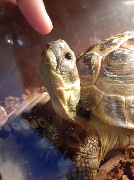 Create a Idk man Tier List - TierMaker