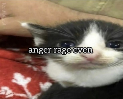 Create a Sb general Tier List - TierMaker