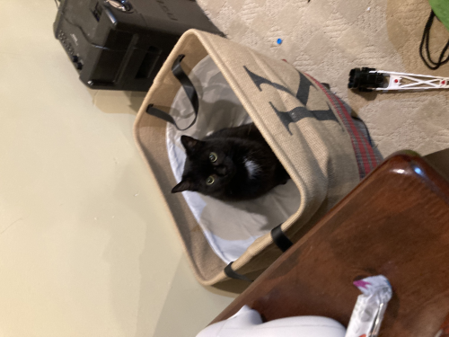 matt's mini survivor brawl CHARACTERS Tier List (Community Rankings ...