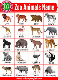 animals Tier List (Community Rankings) - TierMaker