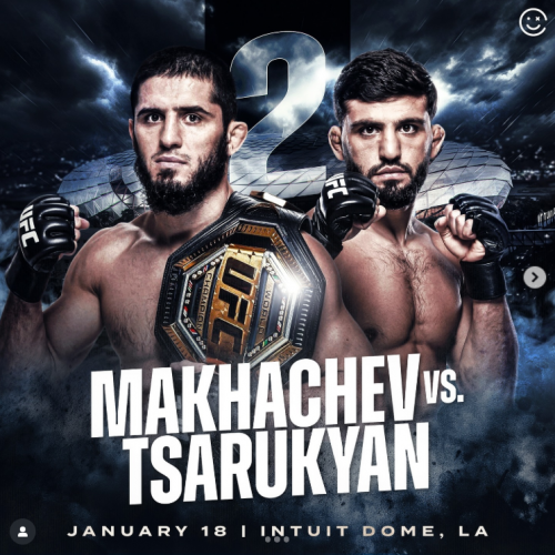 Create a 2025 UFC Cancelled Fights Tier List - TierMaker