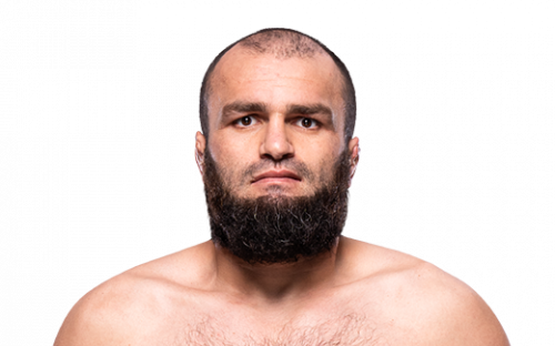 Create a UFC Obesity Tier List - TierMaker