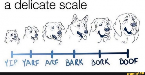 Create a Pokemon Plushies "Yip to Boof" Tier List - TierMaker