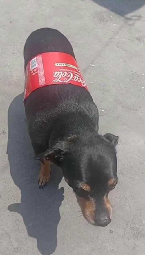 Create a Ranking of Hypixel Murder Mystery players Tier List - TierMaker