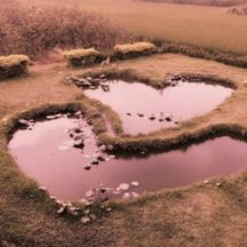 Types of relationship states (Monogamy, polyromantic...) Tier List ...