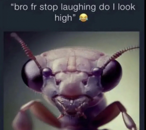 Create a katie’s gyatt crushes Tier List - TierMaker