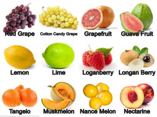 delicious fruit, satisfactory (Labelled) Tier List (Community Rankings ...