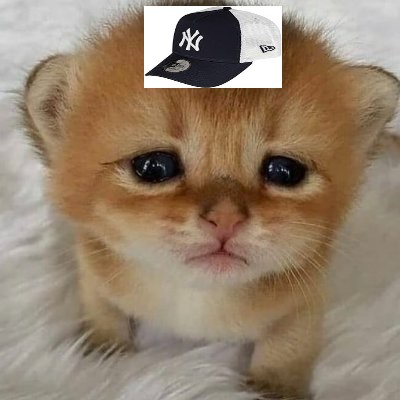 ERLC Police guns Tier List (Community Rankings) - TierMaker