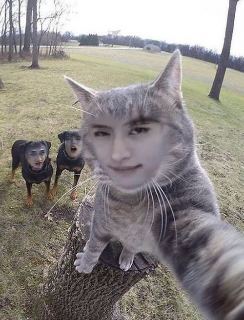 Create a skz album ranker Tier List - TierMaker