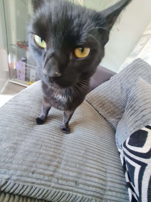 MBC Member Tier List (Community Rankings) - TierMaker