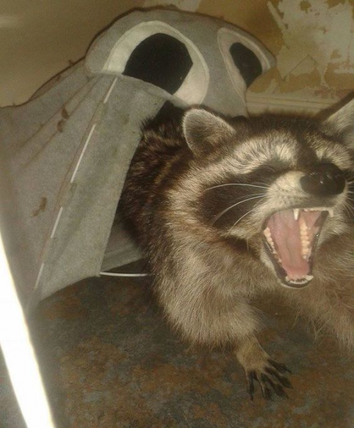 DBD Characters I'd be DTF Tier List (Community Rankings) - TierMaker