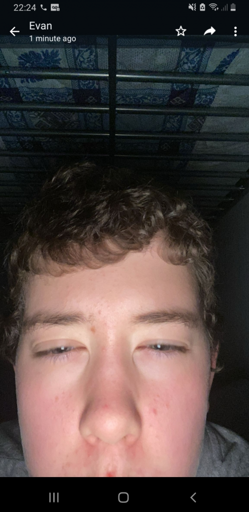 All seudo-legendaries Tier List (Community Rankings) - TierMaker