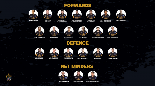 Create a Nottingham Panthers 2023/24 Tier List - TierMaker