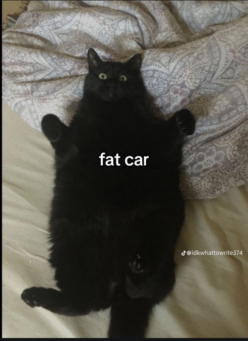 Create a Chill homie lair Tier List - TierMaker