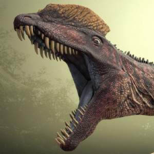 The Isle Evrima Tier List (Community Rankings) - TierMaker