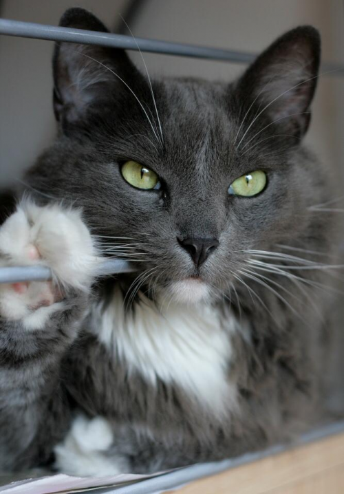 Create a JUEGOS NIKELI 2023 Tier List - TierMaker