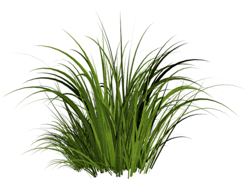 Milsch Anime 2023 Tier List (Community Rankings) - TierMaker