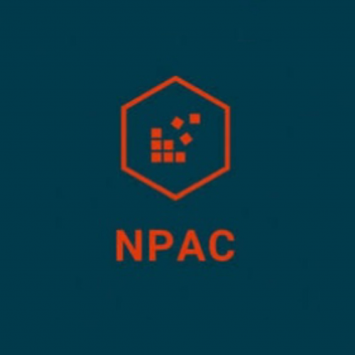 Create a NPAC 20’s Videos Tier List - TierMaker