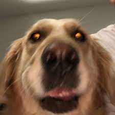 Create a Can I mess up Video Game Characters Tier List - TierMaker