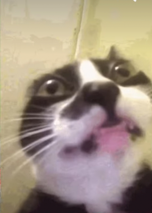 Every major rlcraft weapon Tier List (Community Rankings) - TierMaker