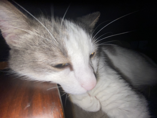 UL chapter ranking Tier List (Community Rankings) - TierMaker