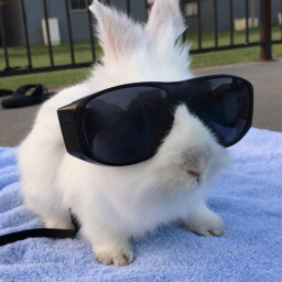 Create a RLSS Seasons Tier List - TierMaker