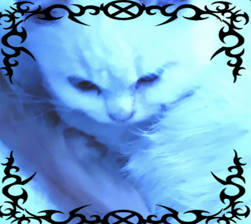 Create A N Ø Projects Tier List Tiermaker